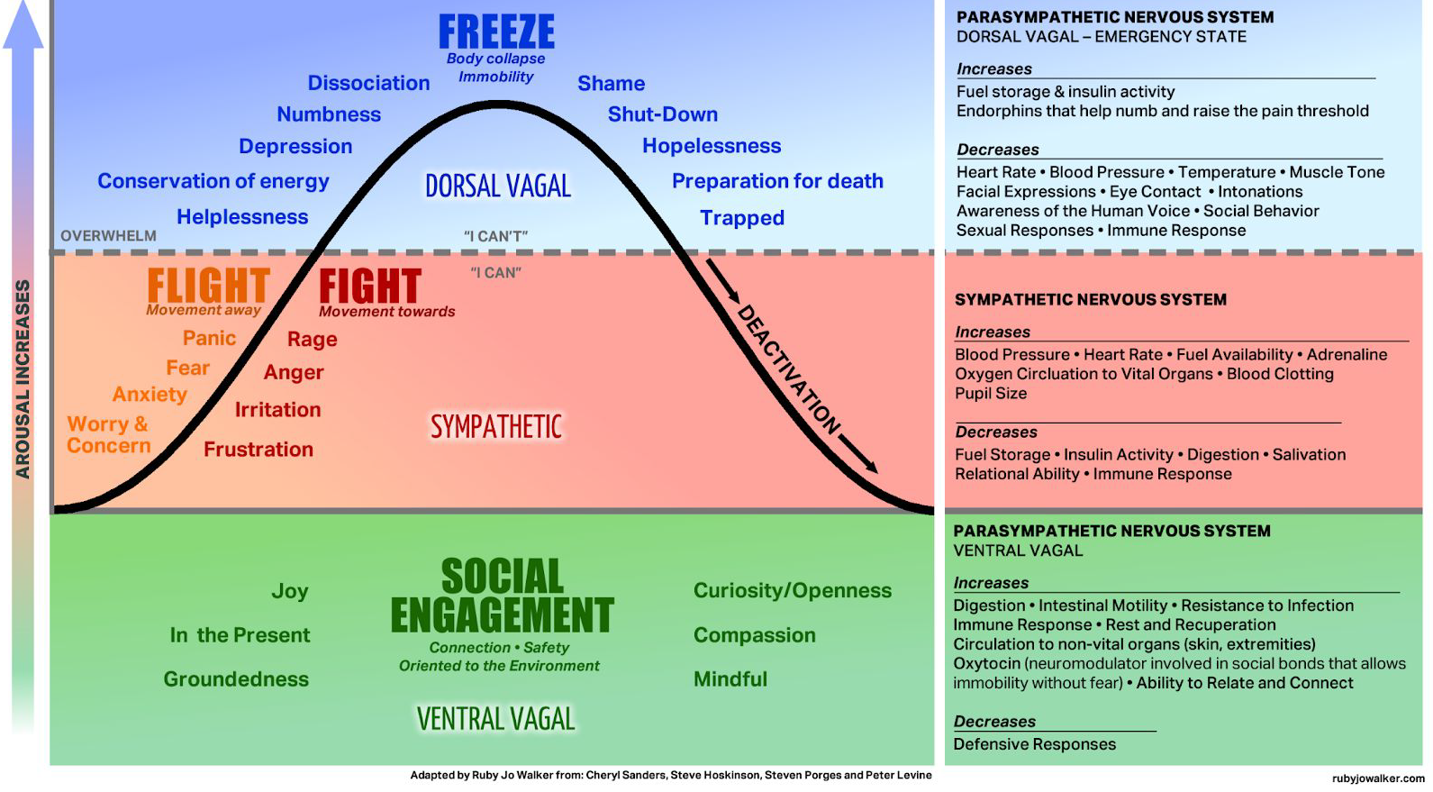 Polyvagal Chart – Mont Rose Counseling, LLC